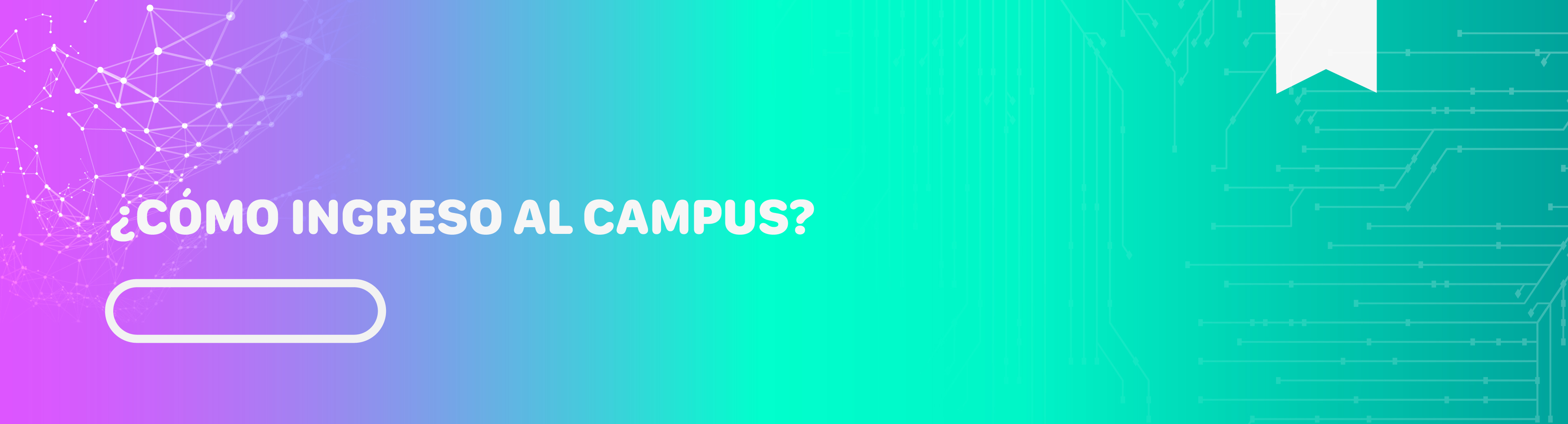 Campus Universidad Champagnat: ¿Cómo ingreso al campus?